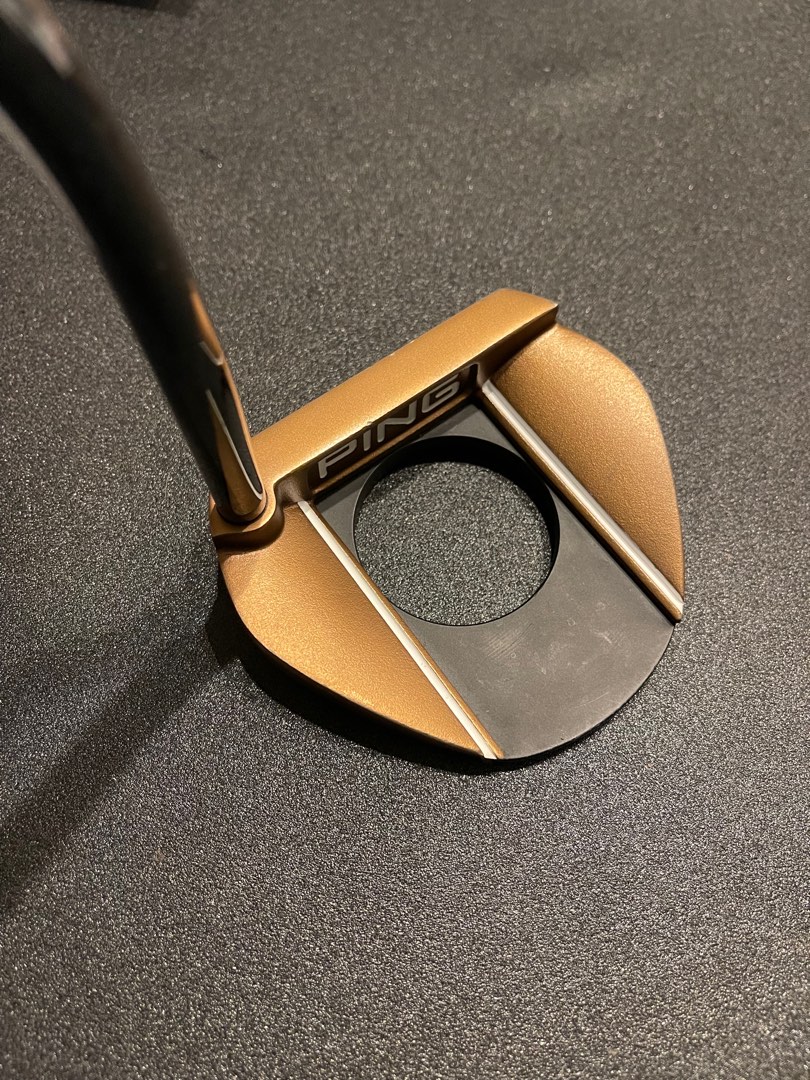 Ping Fetch Putter, Sports Equipment, Sports & Games, Golf on Carousell