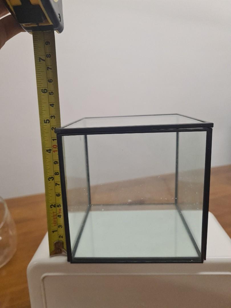 Terrarium Glass Square Tank, Furniture & Home Living, Home Decor ...