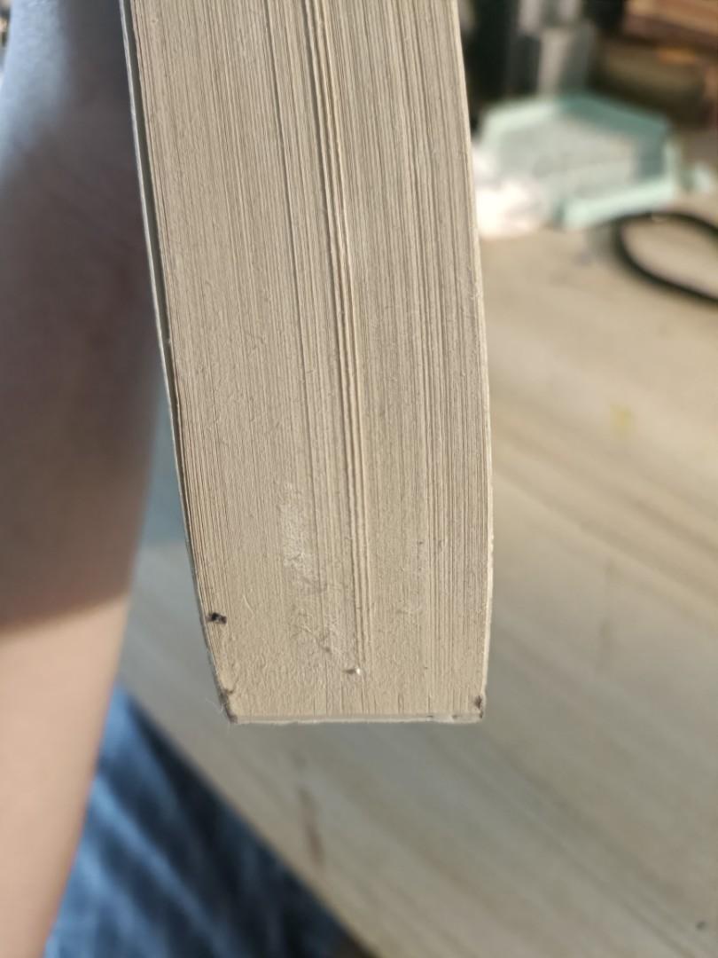 The Brothers Of Auschwitz by Malka Adler, Hobbies & Toys, Books ...