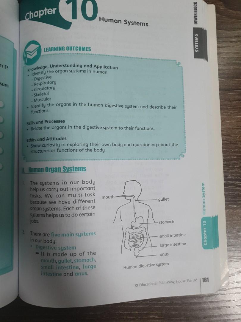 Ultimate science lower primary 3 & 4, Hobbies & Toys, Books & Magazines ...