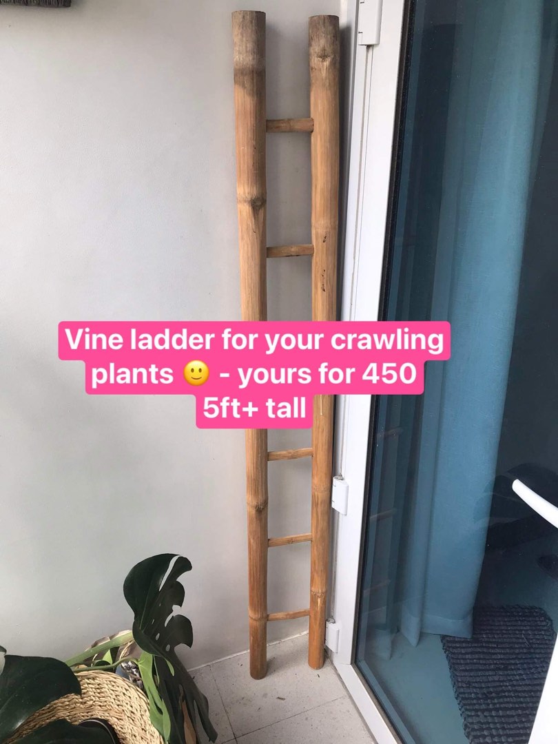 Vine ladder (5ft+ tall), Furniture & Home Living, Gardening, Pots ...