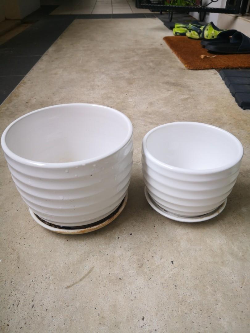 Beautiful Ceramic plant pots, Furniture & Home Living, Gardening, Pots ...
