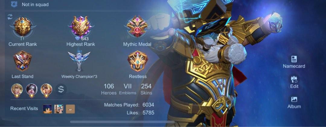 EX MG 254 SKINS HIGH WR HAYABUSA SHURA / YSS COLLECTOR / GRANGER ...