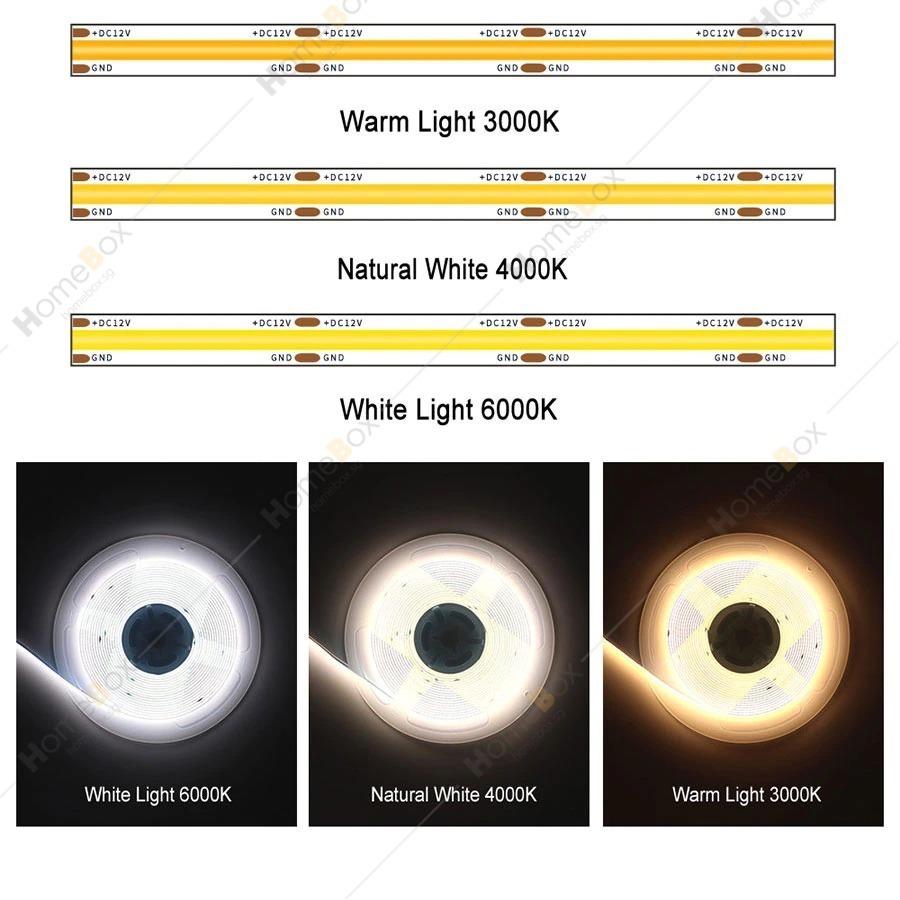 Homebox COB LED Striplight Strip Light 5 meters Ultra Bright 12V 320 LEDs/M, Furniture & Home ...