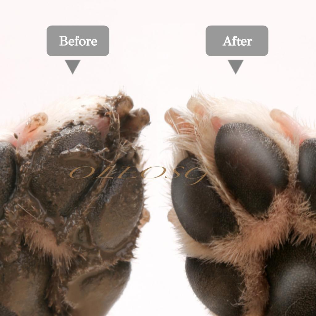 [Instock] Paw Beauty | Dog Paw Cleaner | Easy Paw Cup | Dog Outdoor ...