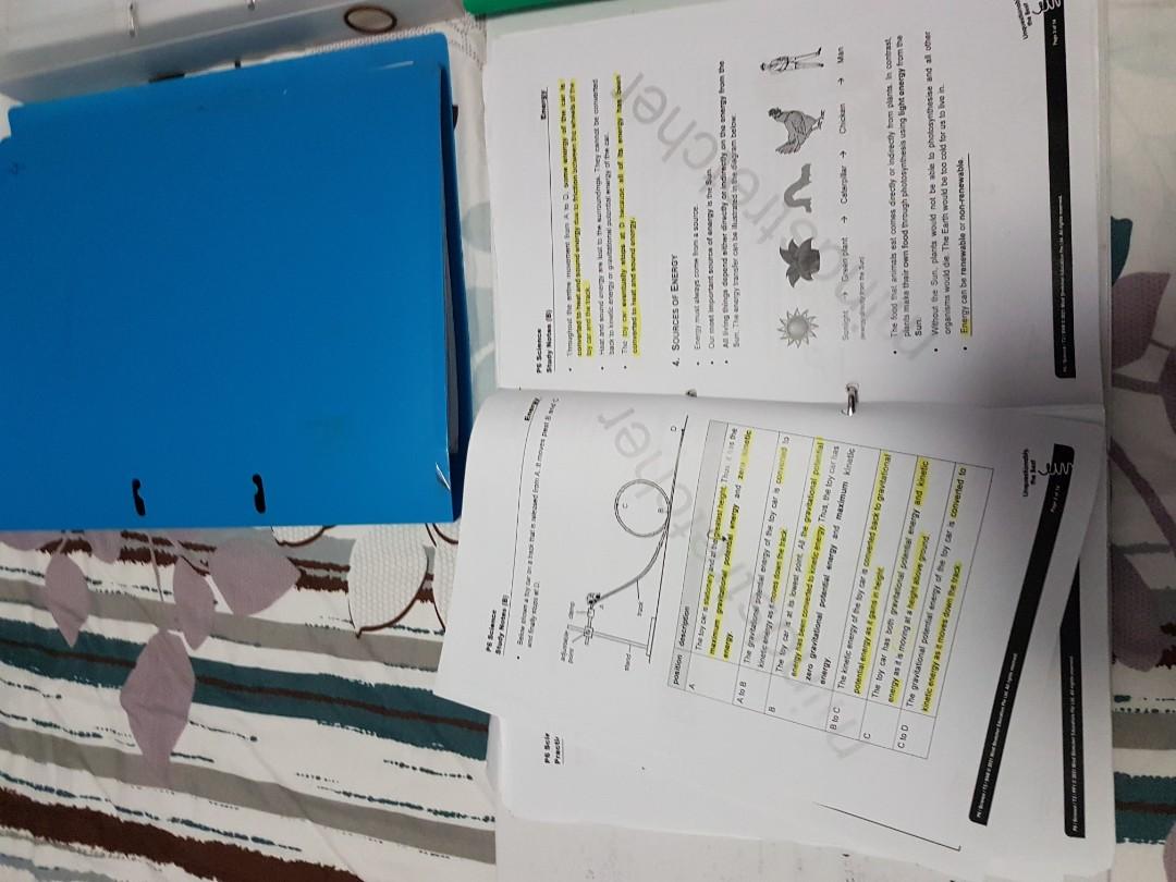 MS P6 Science Complete notes, Hobbies & Toys, Books & Magazines ...