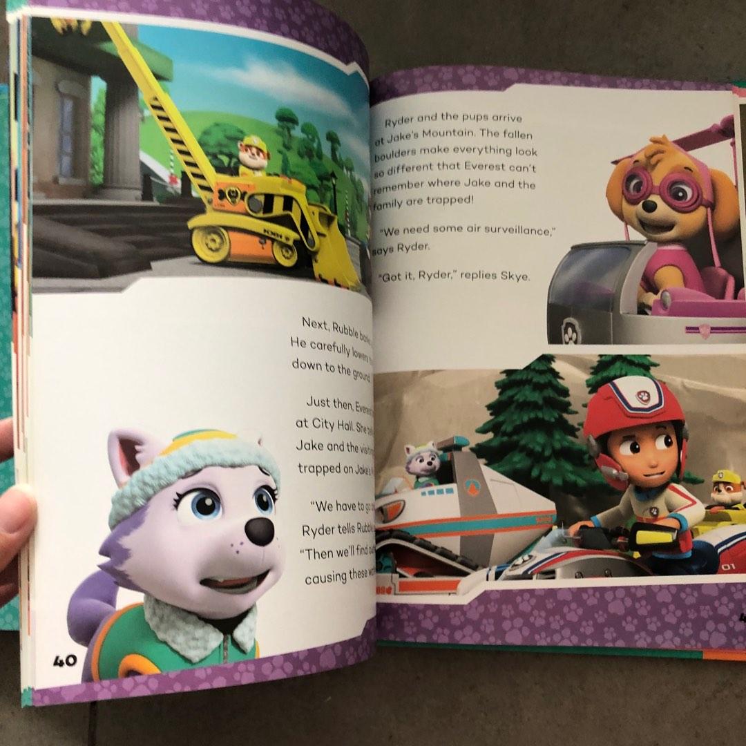 Paw Patrol Pawfect Book of Stories Storybook, Hobbies & Toys, Books ...