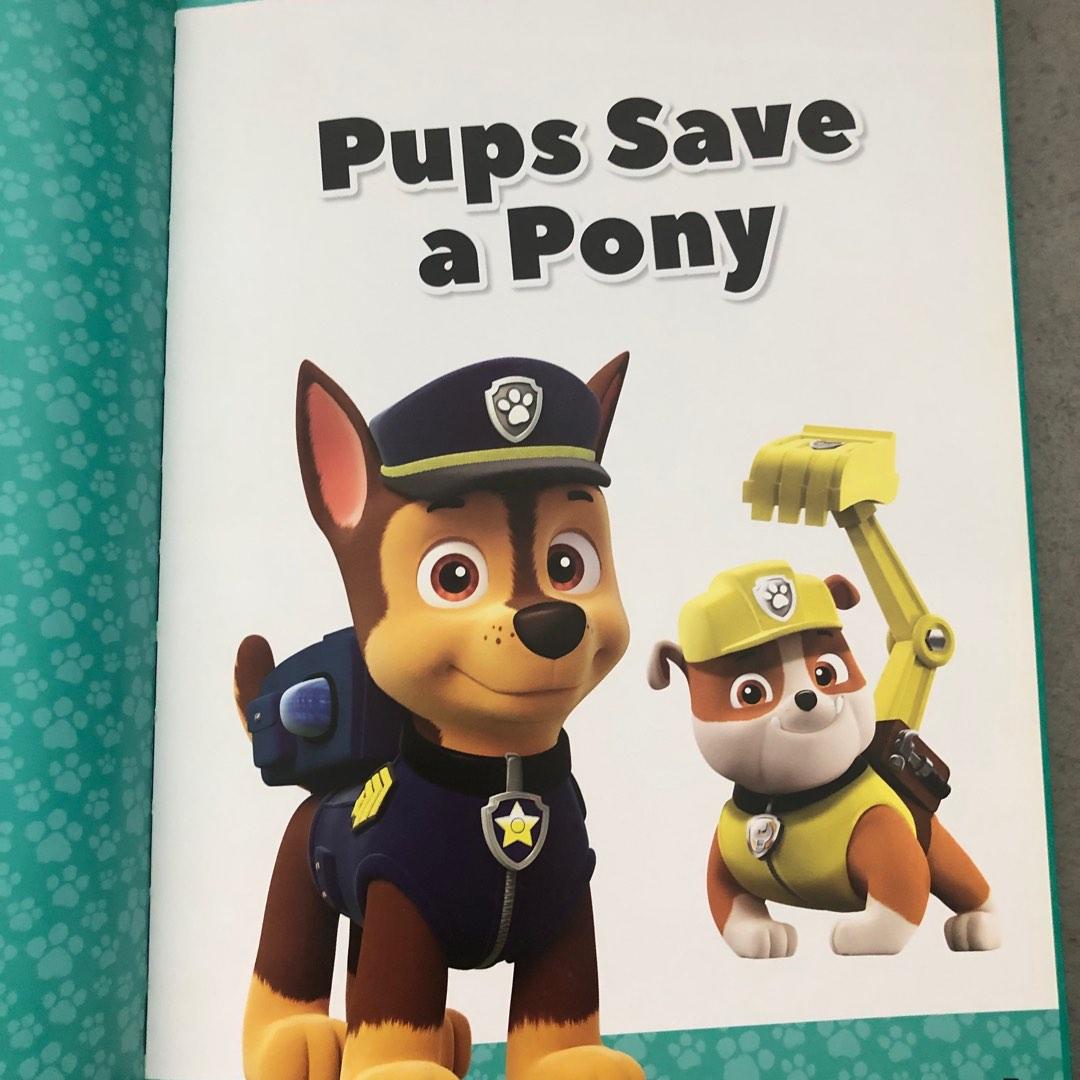 Paw Patrol Pawfect Book of Stories Storybook, Hobbies & Toys, Books ...