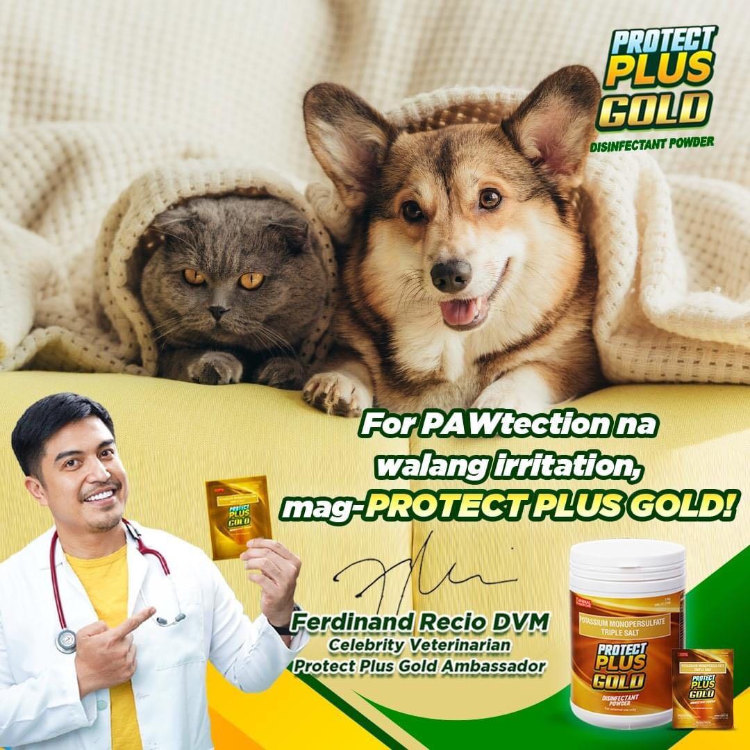 protect plus gold, 20 grams, Pet Supplies, Health & Grooming on Carousell