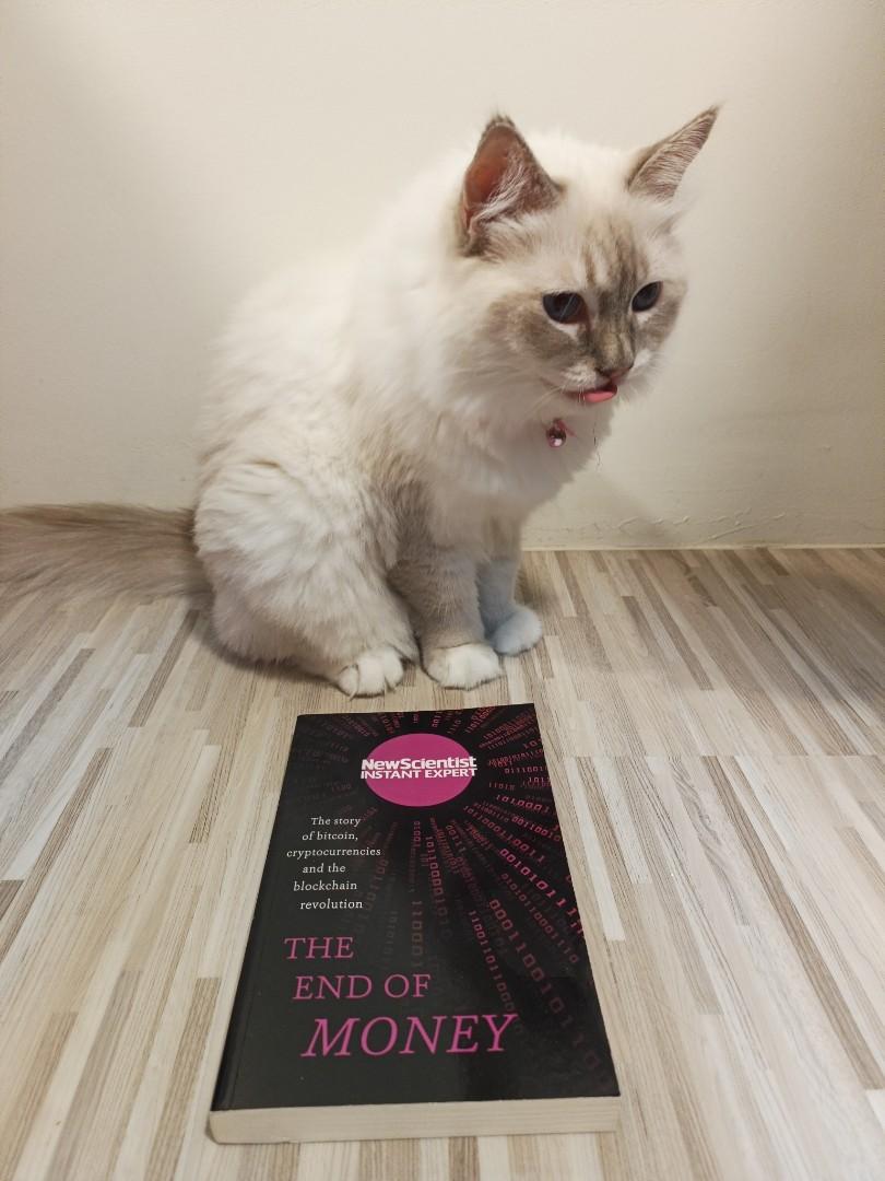 The End of Money by Adam Rothstein, Hobbies & Toys, Books & Magazines ...