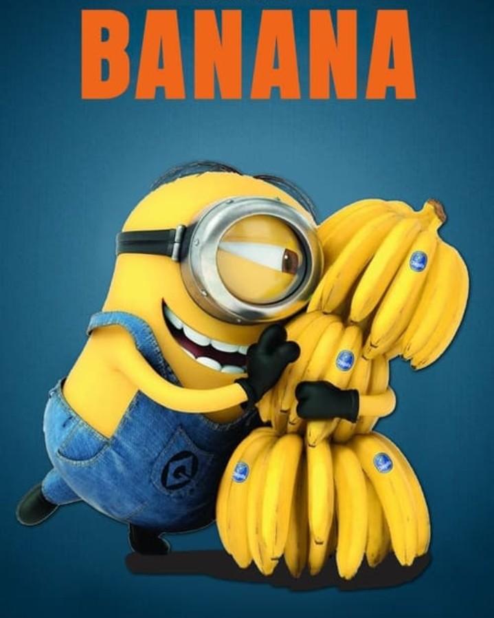VCD DESPICABLE ME ANIMATION CARTOON MOVIE (Combo 2 album), Hobbies ...