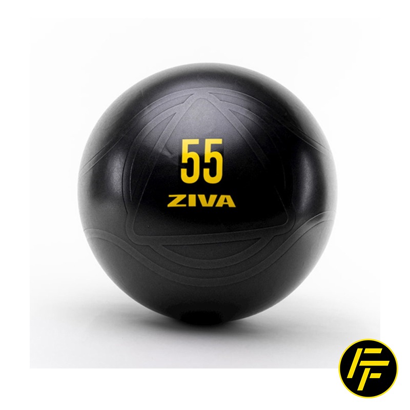 ZIVA Anti Burst Fitness Exercise Ball Includes HandPump, 55, 65,75cm ...