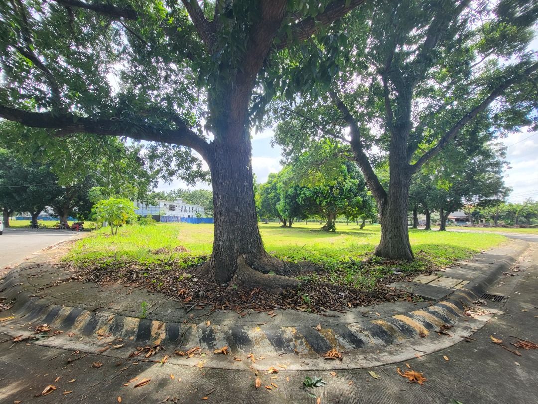 Active Corner Lot For Sale in Manila Southwoods Phase 3 near Ayala ...