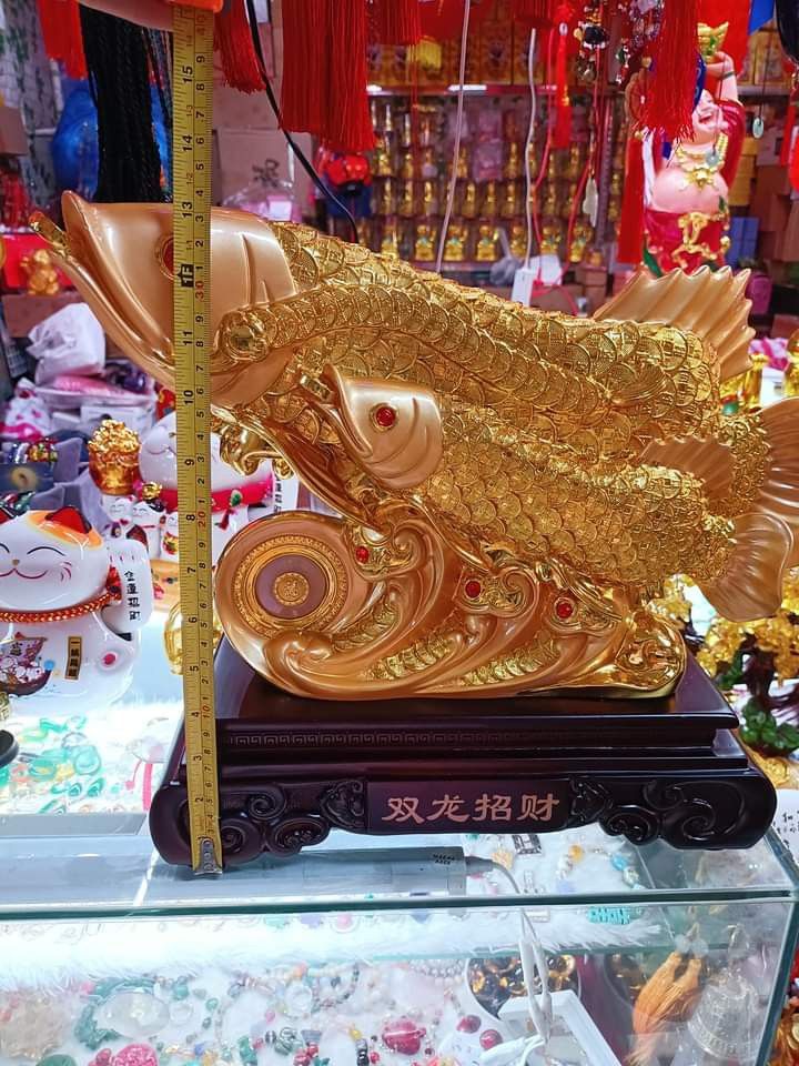 Arowana fish Fengshui display, Furniture & Home Living, Home Decor ...