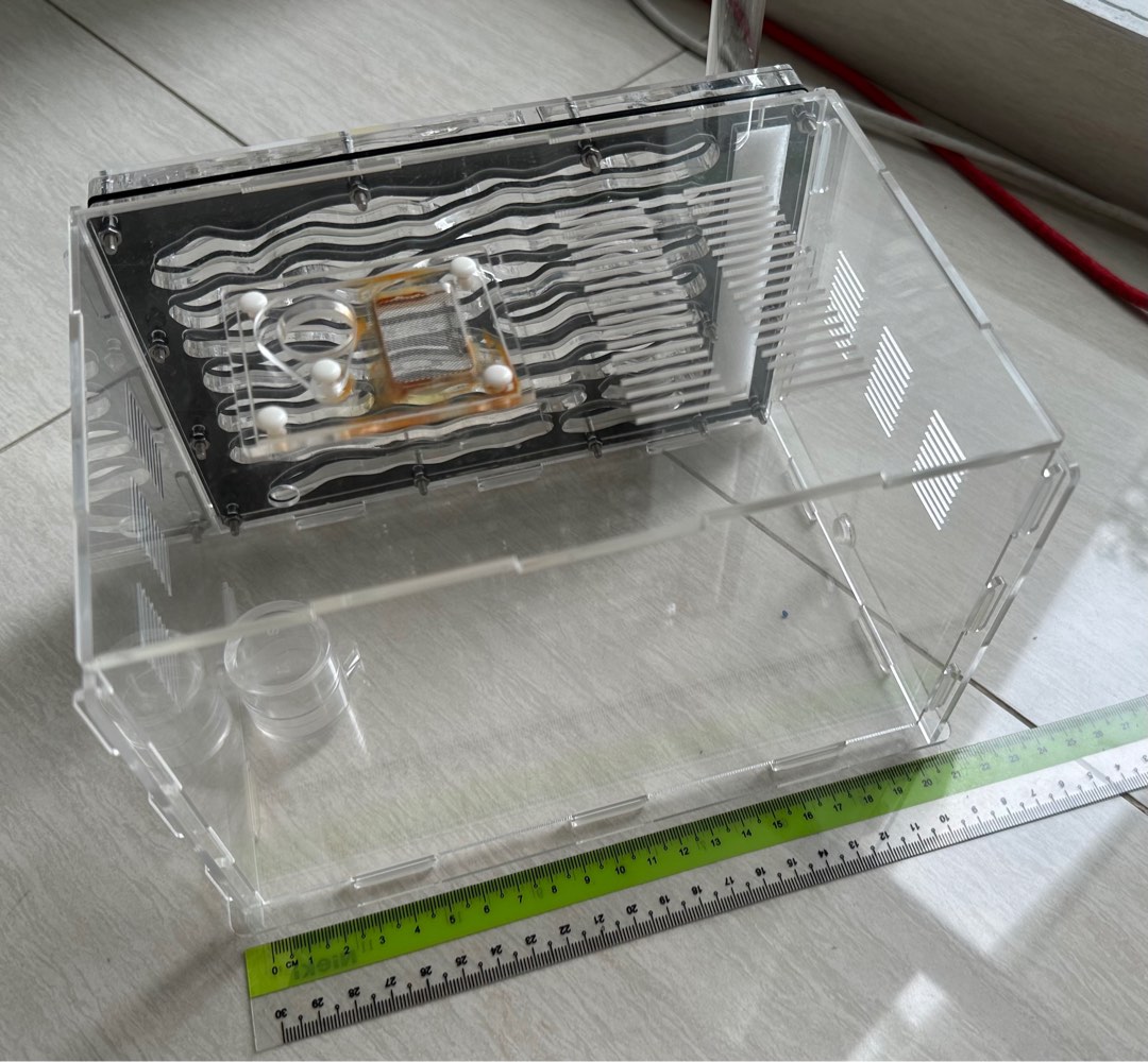 Big Ant formicarium 21x15cm, 14cm tall , Pet Supplies, Homes & Other ...