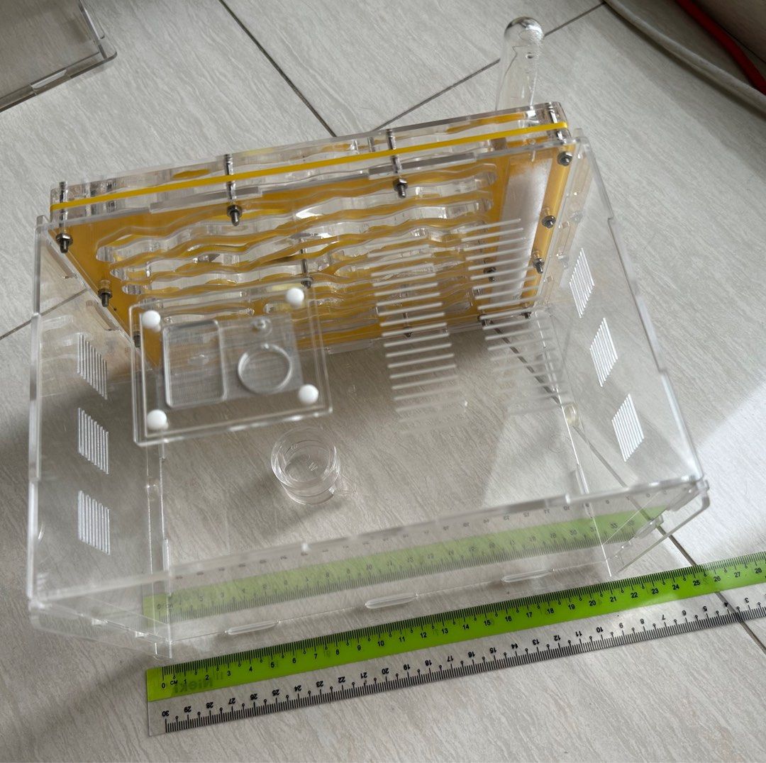 Big Ant formicarium 21x15cm, 14cm tall, Pet Supplies, Homes & Other Pet ...