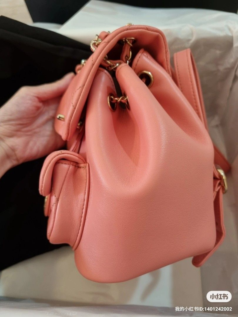 BNIB Chanel Duma Backpack Pink 22A 22K, Luxury, Bags & Wallets on Carousell