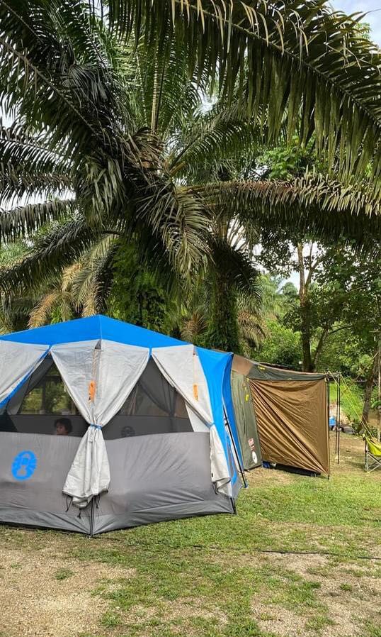 Coleman Cortes Octagon Tent 8P, Sports Equipment, Hiking & Camping on ...