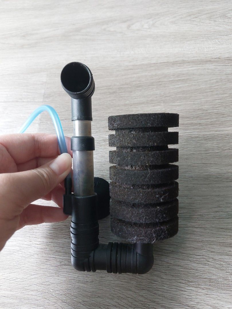 Cycled sponge filter., Pet Supplies, Homes & Other Pet Accessories on ...
