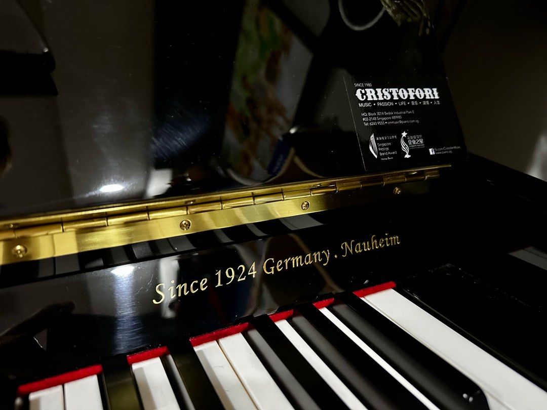 FRANZ SANDER UP121 Exam Grade Upright Piano, Hobbies & Toys, Music ...