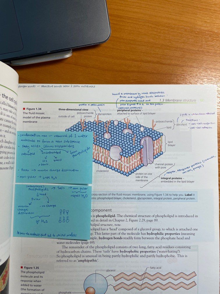 IB Biology Textbook, Hobbies & Toys, Books & Magazines, Textbooks on ...
