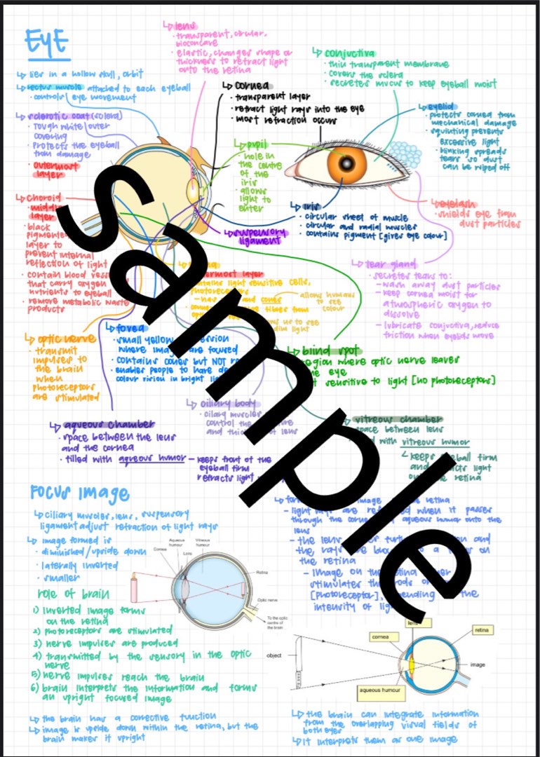 Pure Biology handwritten notes, Hobbies & Toys, Books & Magazines ...