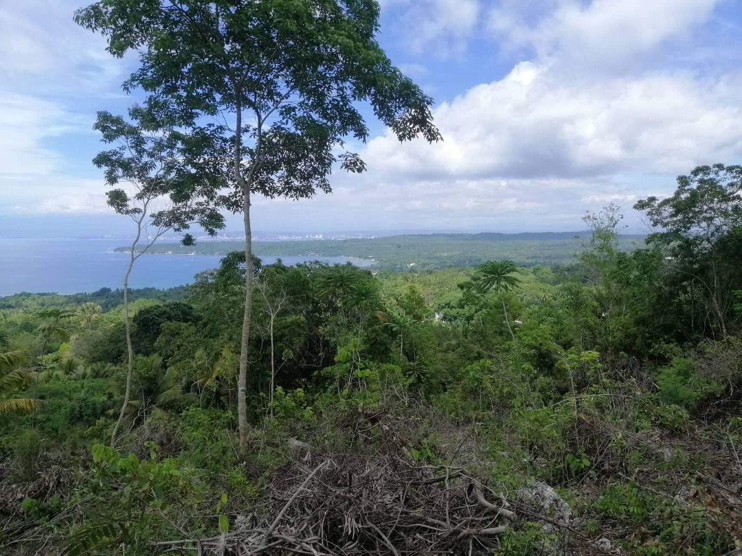 Samal Island overlooking Property, Property, For Sale, Commercial on ...