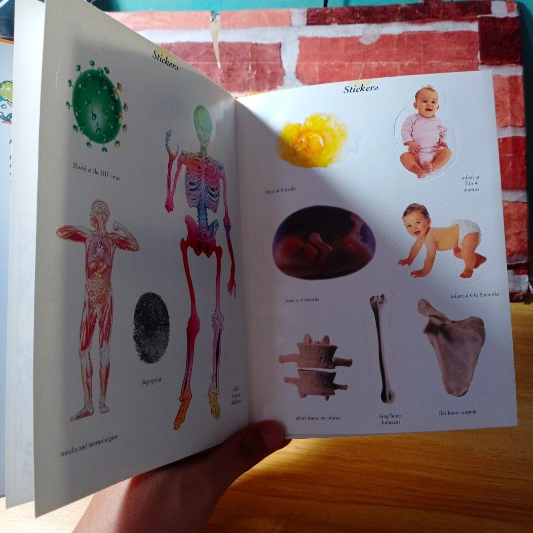 Science Understanding the Human Body, Hobbies & Toys, Books & Magazines ...