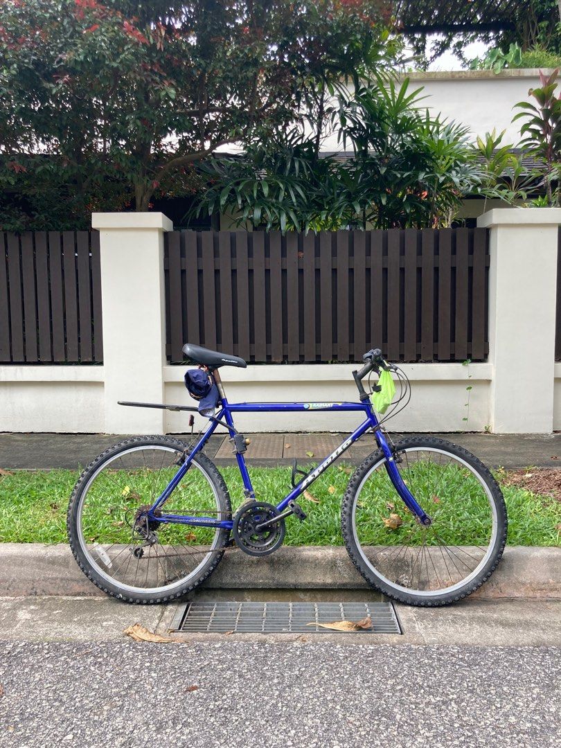 Vintage Apollo Mountain Bike, Sports Equipment, Bicycles & Parts ...