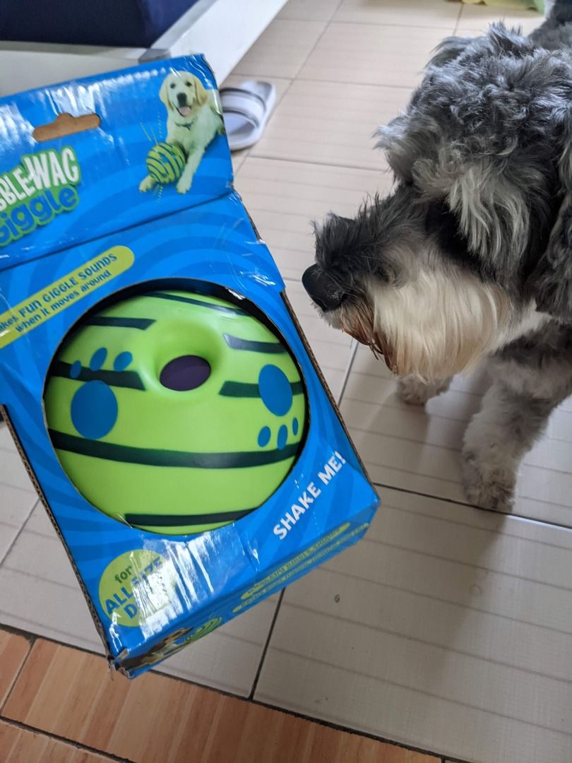 Wobble Wag Giggle Ball Bootleg Toy, Pet Supplies, Homes & Other Pet ...