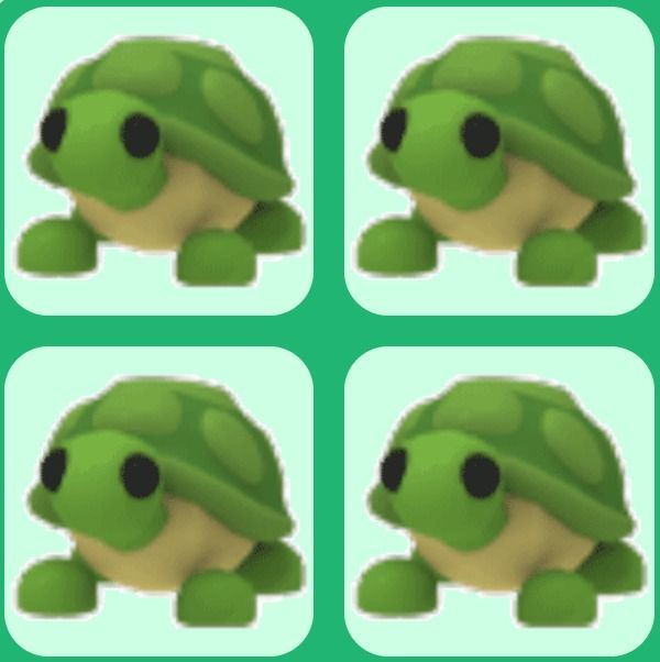 Adopt Me - Normal Turtle, Video Gaming, Video Games, Others on Carousell