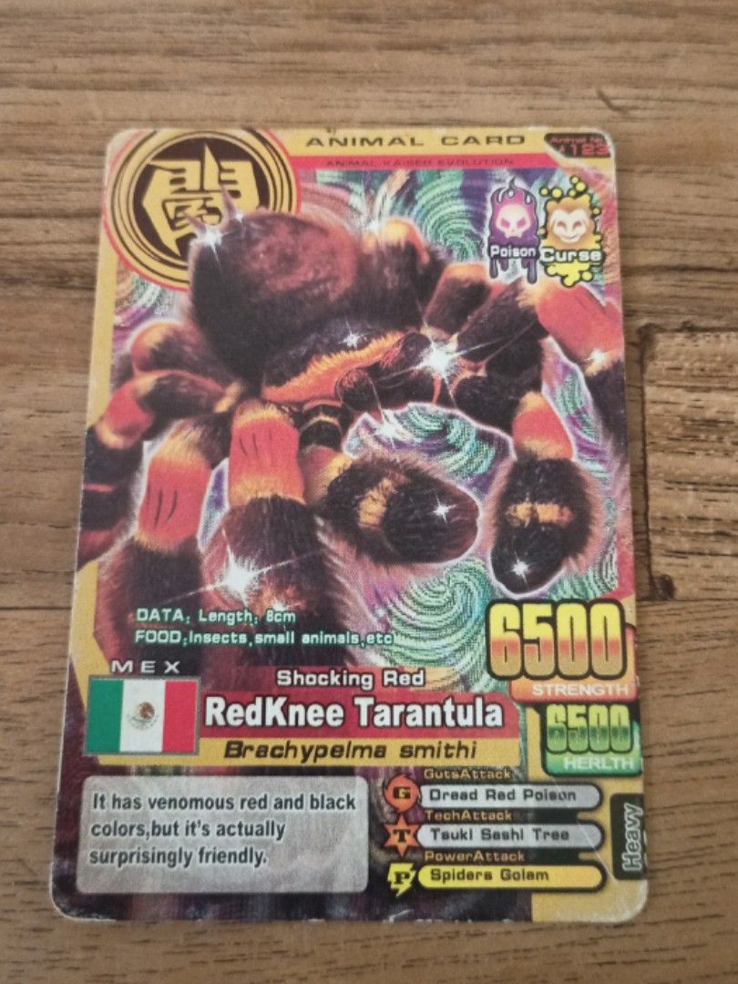 Animal Kaiser - Red Knee Tarantula (2 attribute), Hobbies & Toys, Toys ...