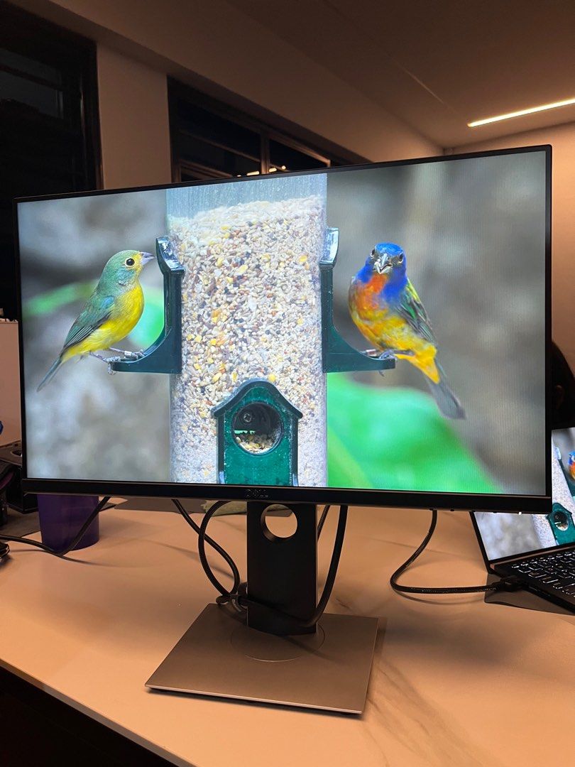 DELL S-Pro S2319HS 23" inch FHD IPS Monitor Height Swivel Rotate ...