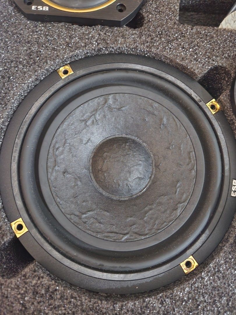 ESB 8000 8.6K3 LE 3 way speaker (Active), Car Accessories, Accessories ...
