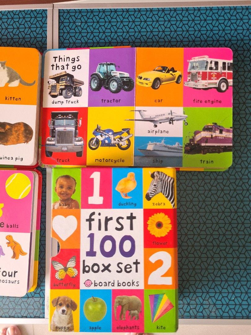 First 100 words box set - board books, Hobbies & Toys, Books ...