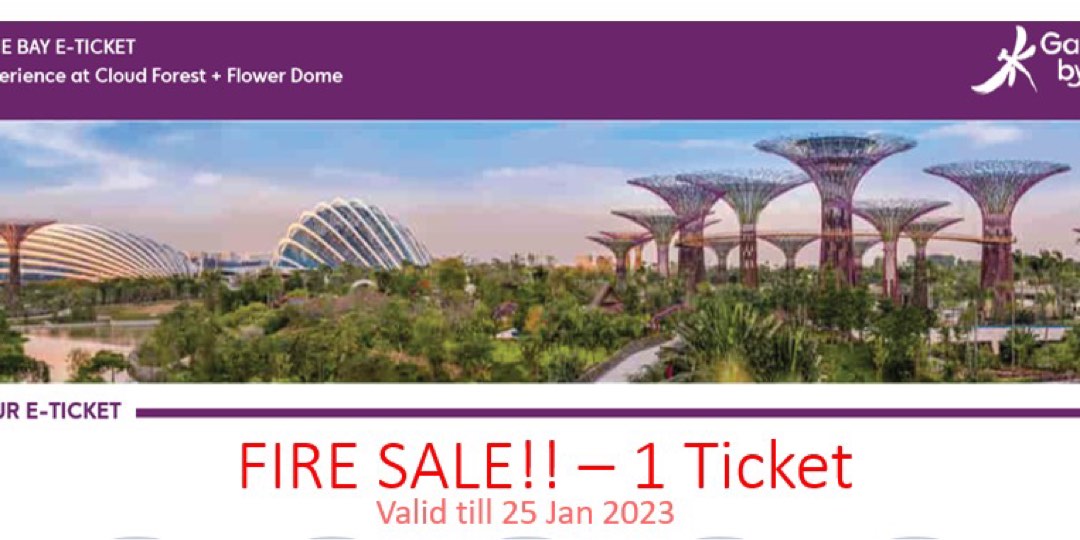 Gardens by the bay includes flower dome + cloud forest featuring avatar ...