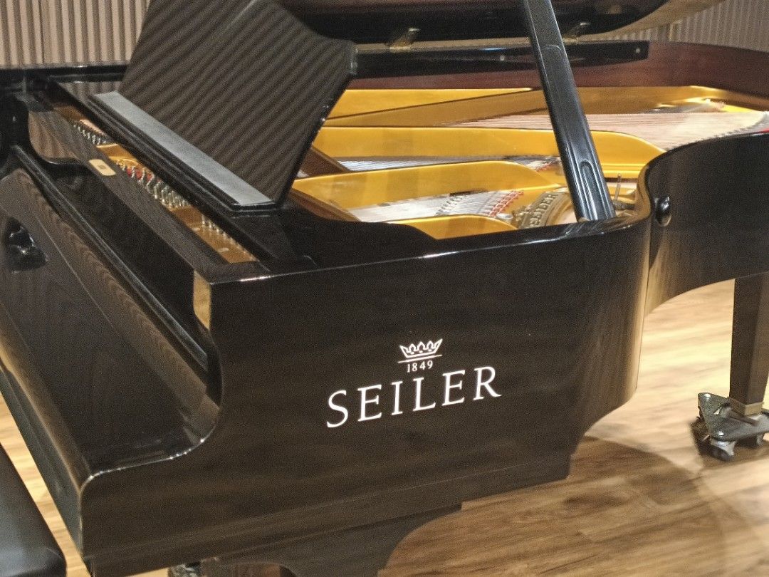 German Seiler Grand piano 206, Hobbies & Toys, Music & Media, Musical ...