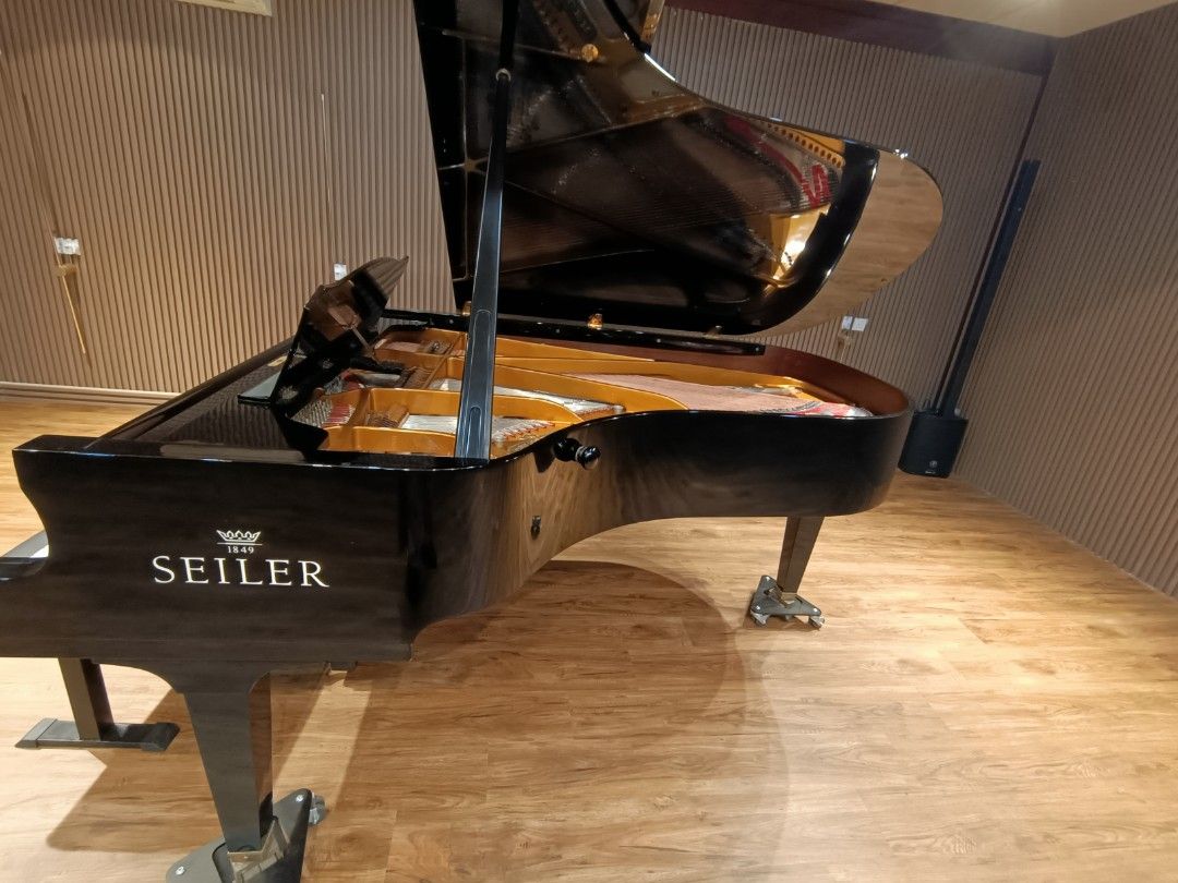 German Seiler Grand piano 206, Hobbies & Toys, Music & Media, Musical ...