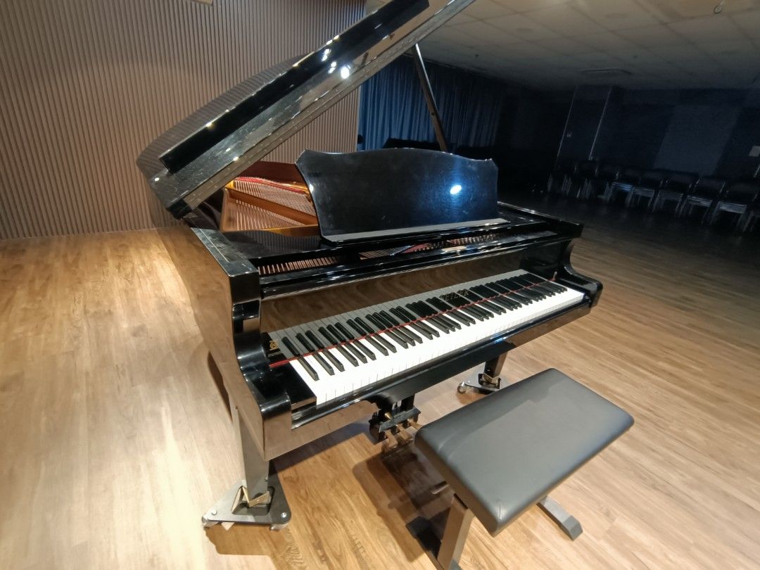German Seiler Grand piano 206, Hobbies & Toys, Music & Media, Musical ...