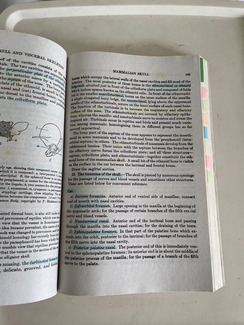 Hyman Comparative Anatomy of the Vertebrates, Hobbies & Toys, Books ...