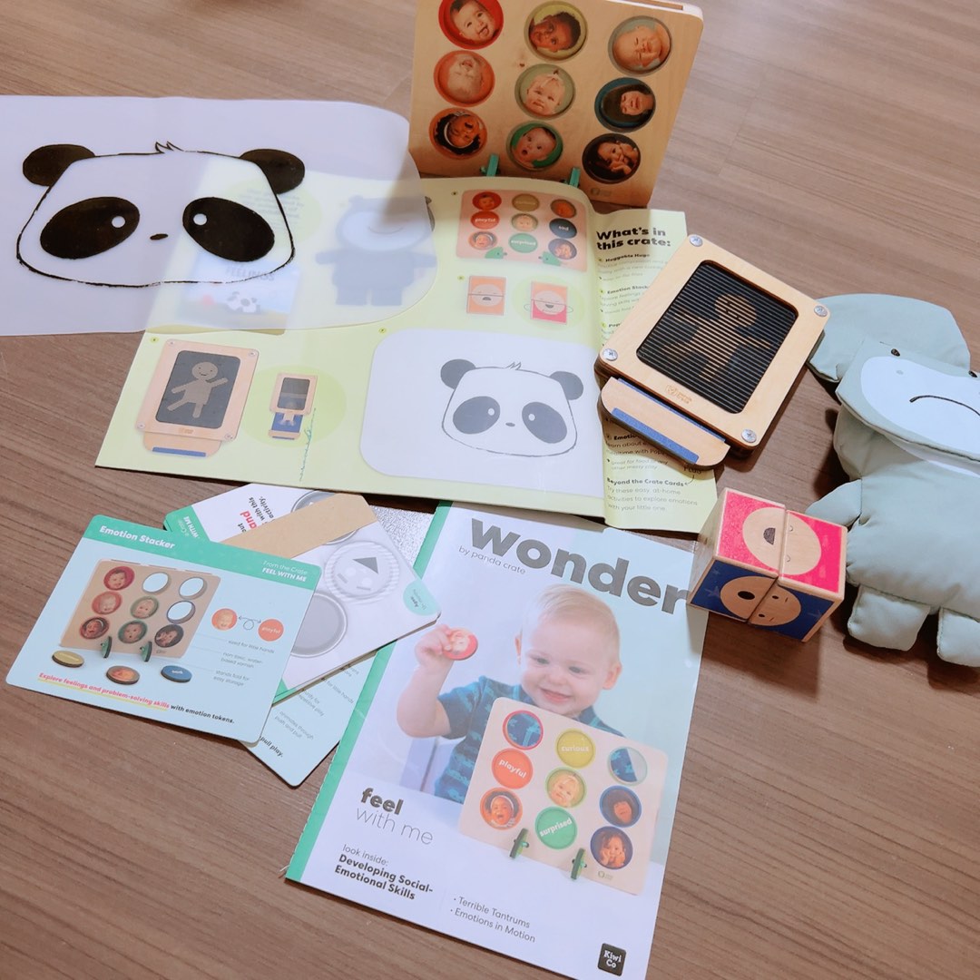 Kiwico PandaCrate, Hobbies & Toys, Toys & Games on Carousell