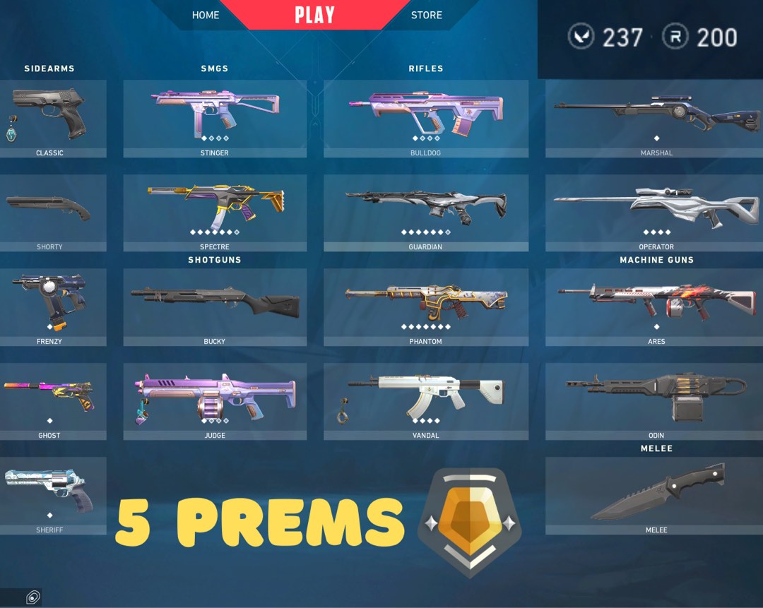 NEPTUNE VANDAL 5 PREMS GOATED VALORANT ACCOUNT//FIXED CHEAP PRICE ...