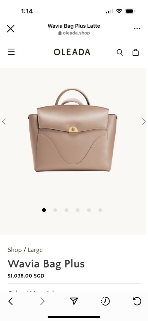 Oleada Wavia Bag, Women's Fashion, Bags & Wallets, Shoulder Bags on ...
