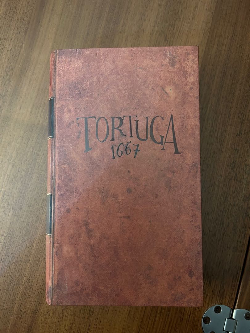 Tortuga game, Hobbies & Toys, Toys & Games on Carousell