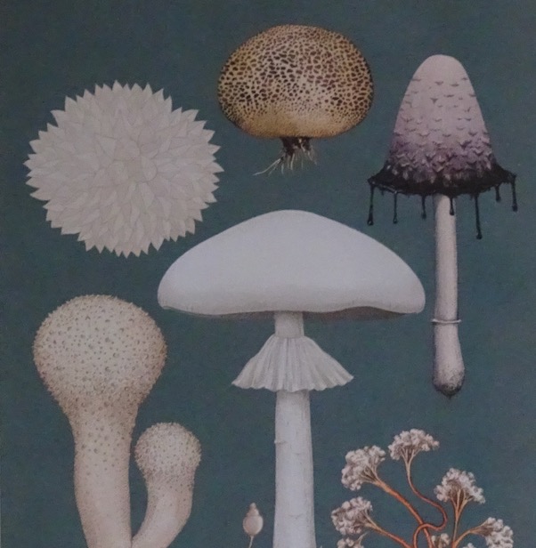 1 Fungarium Postcard: Sculpted Puffball etc, Hobbies & Toys, Stationary ...