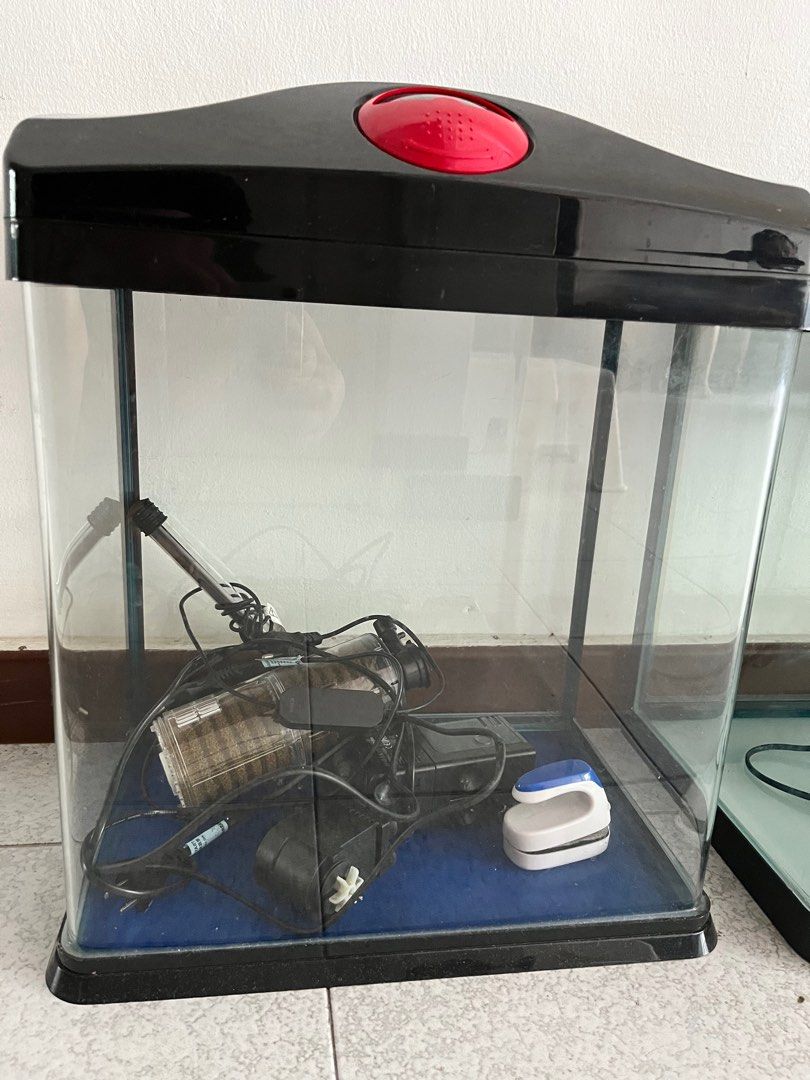 1ft Fish tank, Pet Supplies, Homes & Other Pet Accessories on Carousell