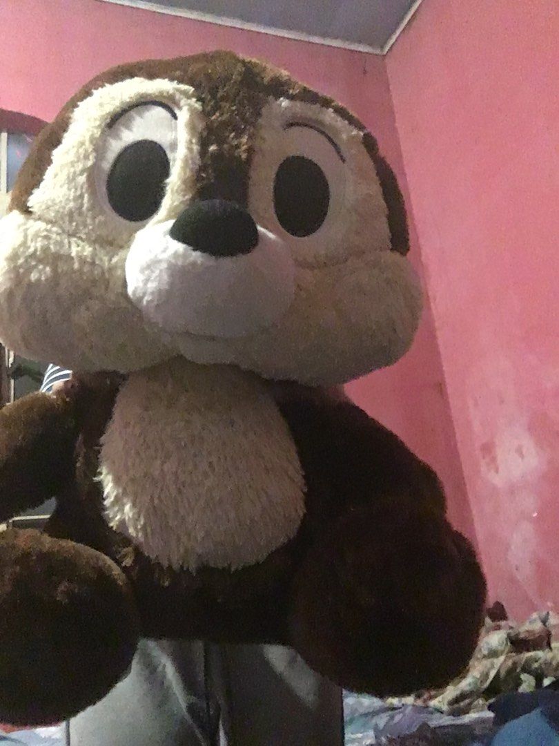 Chip & Dale - Chip Plush, Hobbies & Toys, Toys & Games on Carousell