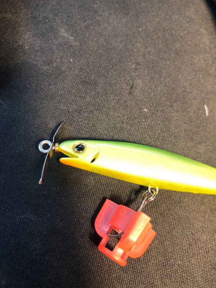 Daiwa Gustnado 80s brand new, Sports Equipment, Fishing on Carousell