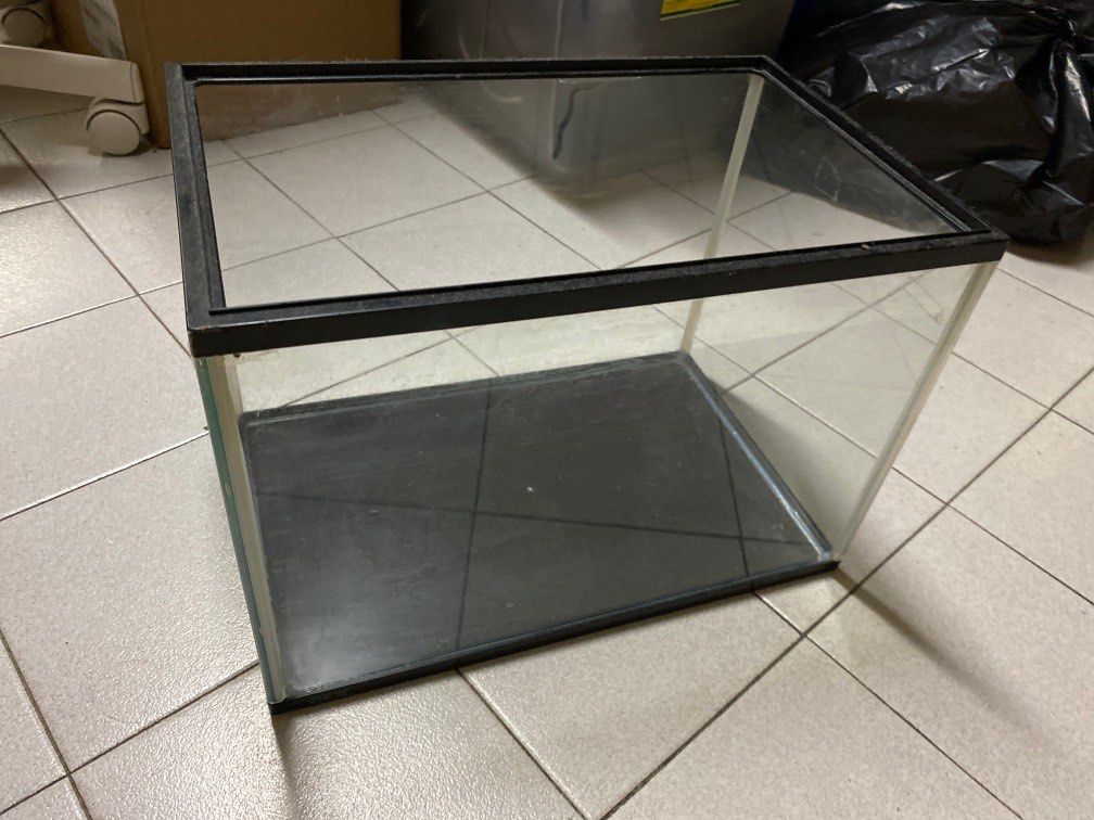 GEX Glass Fish / Terrapin / Ant Terrarium Tank 40cm, Pet Supplies ...