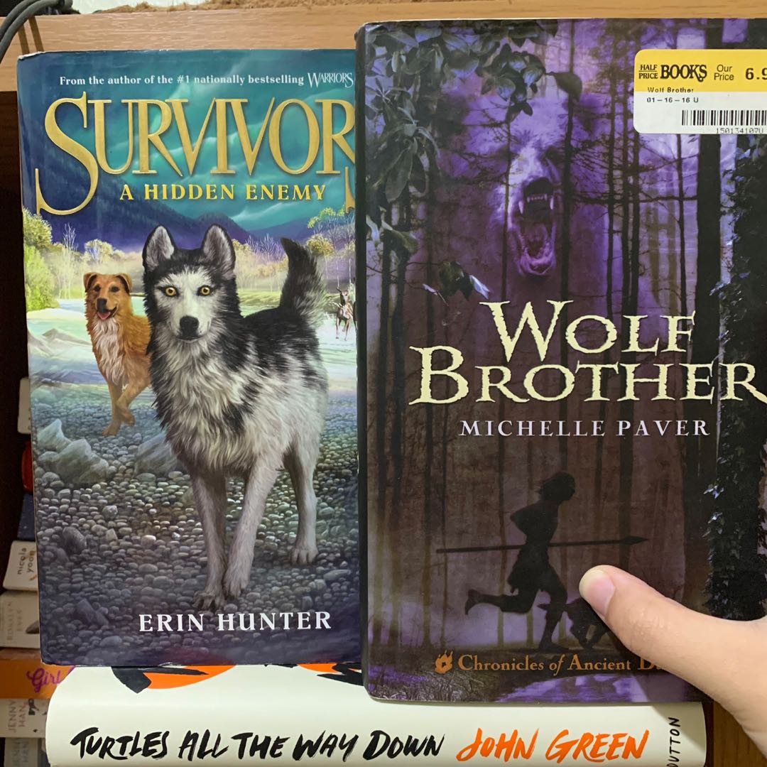 hardbound children kids book (survivor), Hobbies & Toys, Books ...